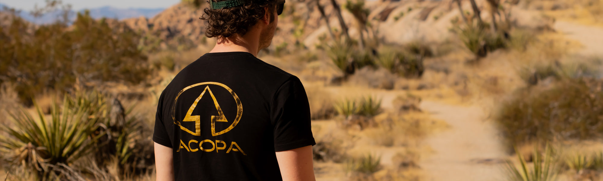 Artículos Acopa– ACOPA